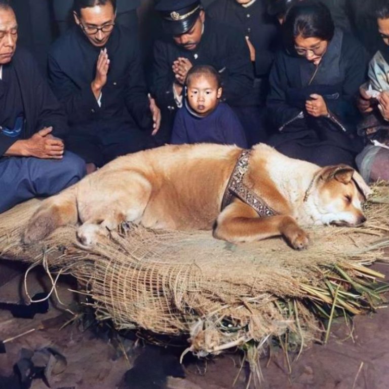 Hachiko Statue: Story and Meaning - Arturban Statue
