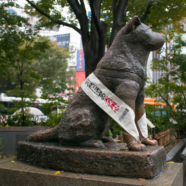 Hachiko Statue: Story and Meaning - Arturban Statue