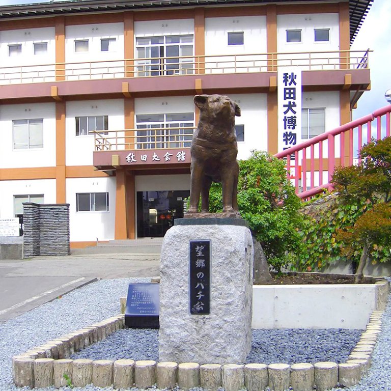 Hachiko Statue: Story and Meaning - Arturban Statue