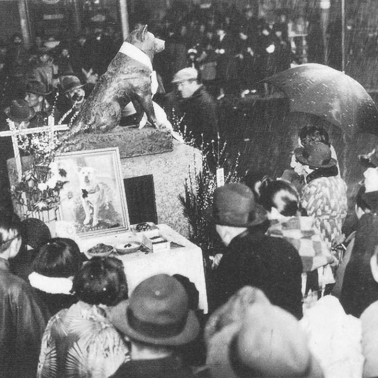 Hachiko Statue: Story and Meaning - Arturban Statue
