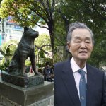 Hachiko Statue: Story and Meaning - Arturban Statue