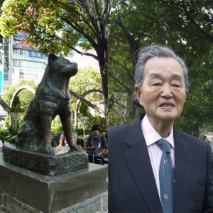 Hachiko Statue: Story and Meaning - Arturban Statue