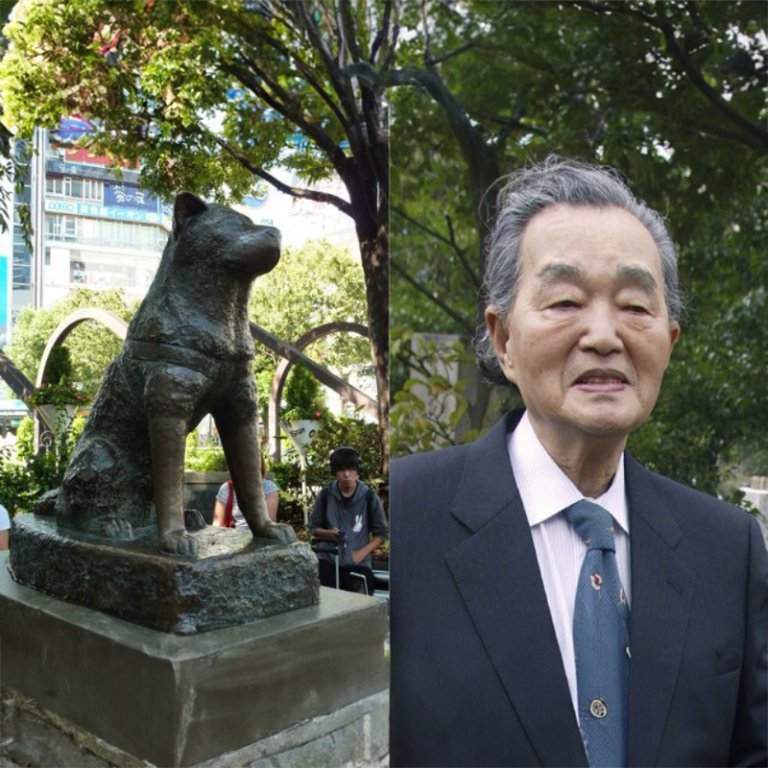 Hachiko Statue: Story and Meaning - Arturban Statue