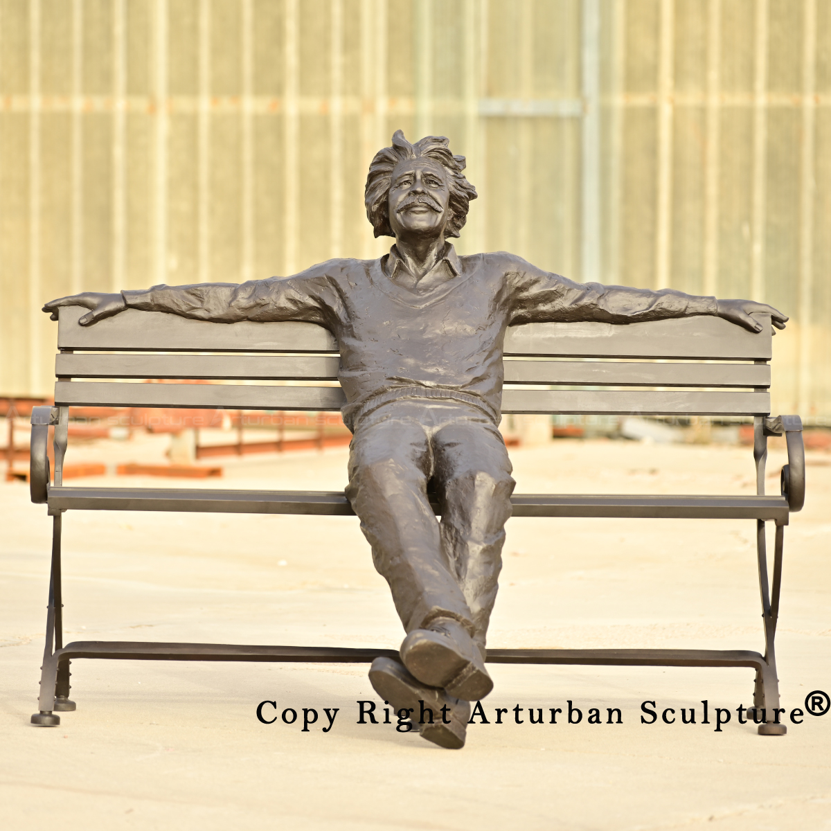 Einstein Statues for Sale: Designs, Materials, Sizes, and Custom ...